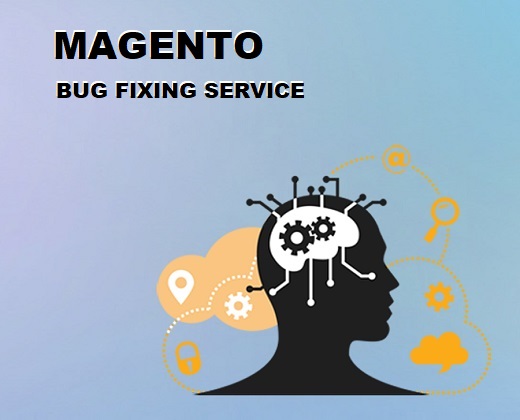 Magento Services & Extensions for Your Store - MageTop